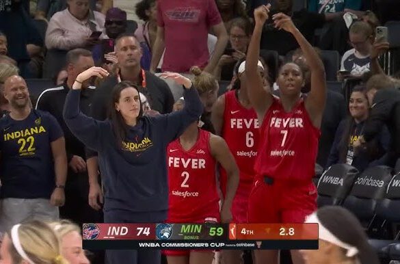 Red Panda Suffers Scary Fall During WNBA Commissioner’s Cup Halftime ...